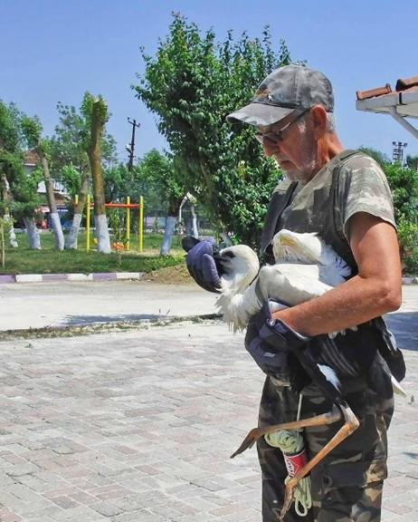 Leylek cennetine dönen İstanbul'un 'Leylek Baba'sı