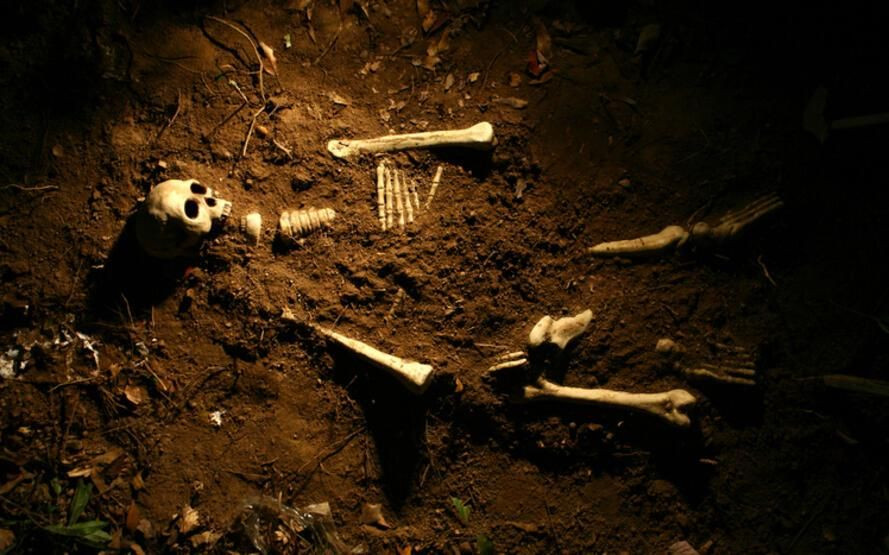 Kara Veba'nın 700 yıllık gizemi ve kaynağı çözüldü