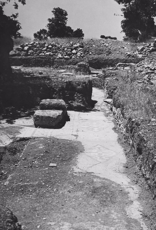 Troya Antik Kenti'nin daha önce görülmemiş fotoğrafları, carl blegen ...