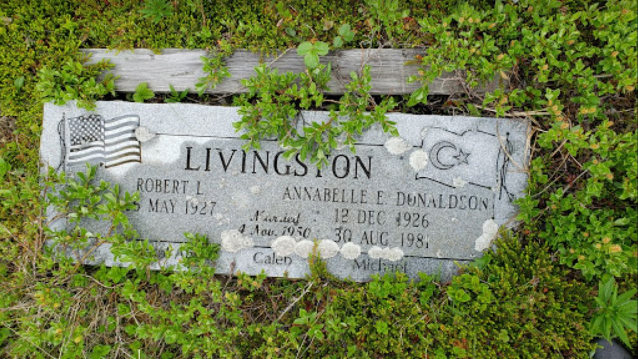 Alaska'daki Türk bayraklı mezar taşının ilgi çekici hikayesi