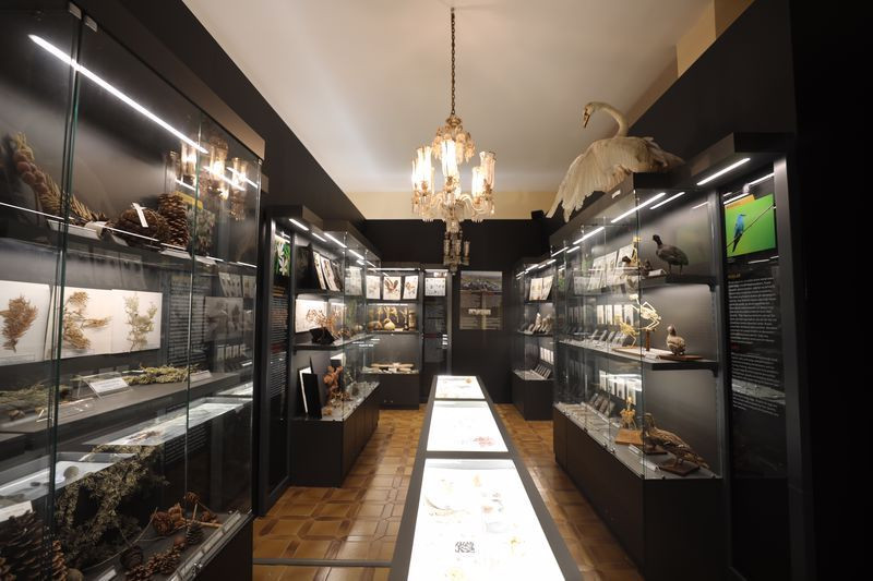 Trakya Üniversitesi Doğa Tarihi Müzesi ziyaretçilerini hayran bırakıyor