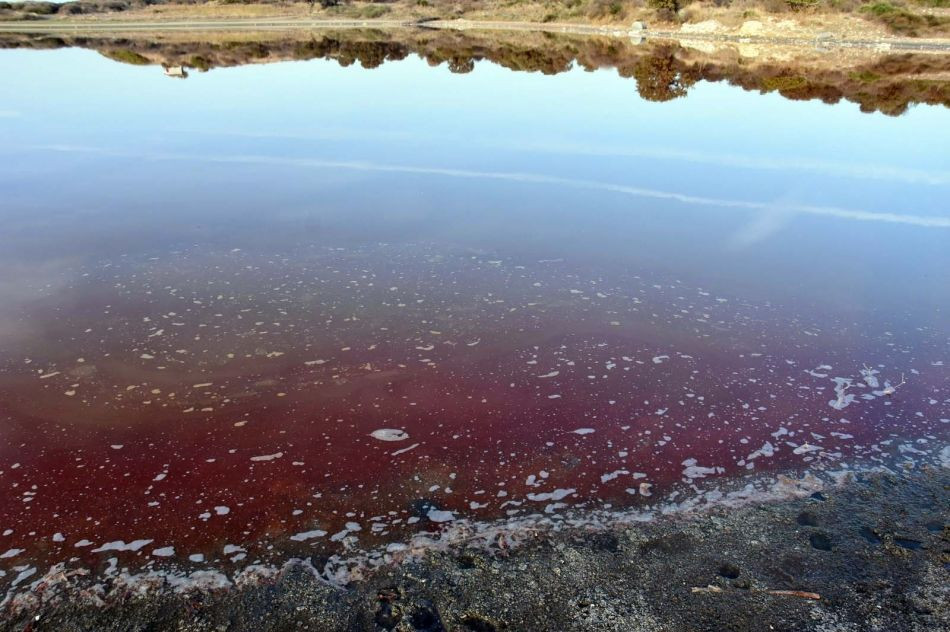 pembe göl, dünyada 8 tane var, dünyada sadece 8 tane, pembe tuz gölü ...