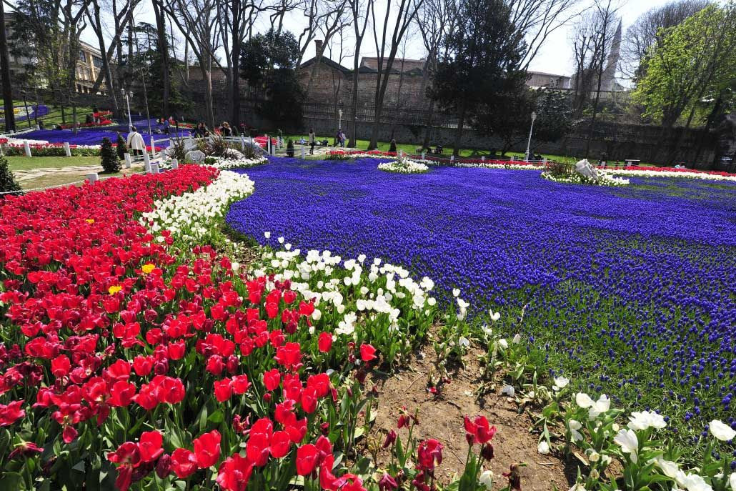 lale mevsimi ne zaman, lale mevsimi, lale şöleni, lale zamanı, emirgan ...