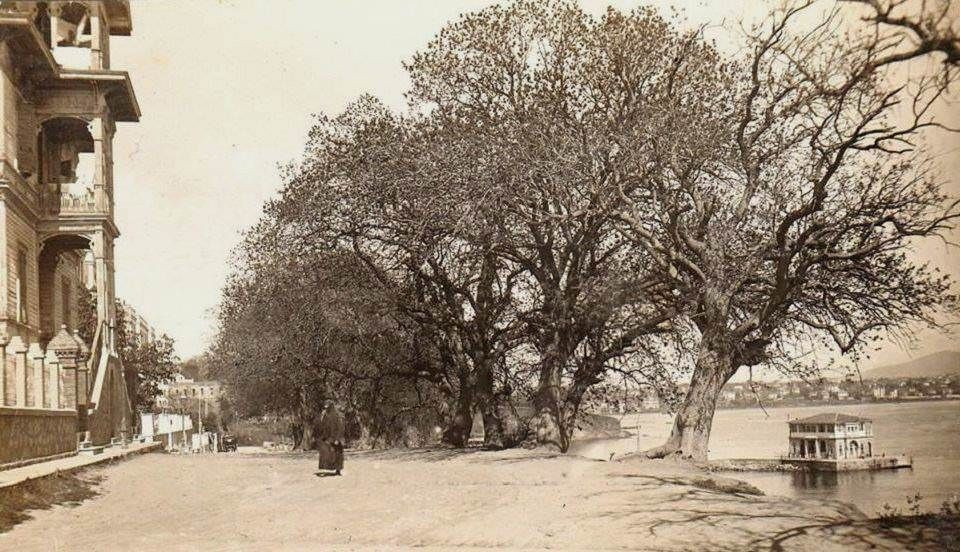 Kadıköy Moda'nın bilinmeyen hikayesi ve ilk kez göreceğiniz eski ...
