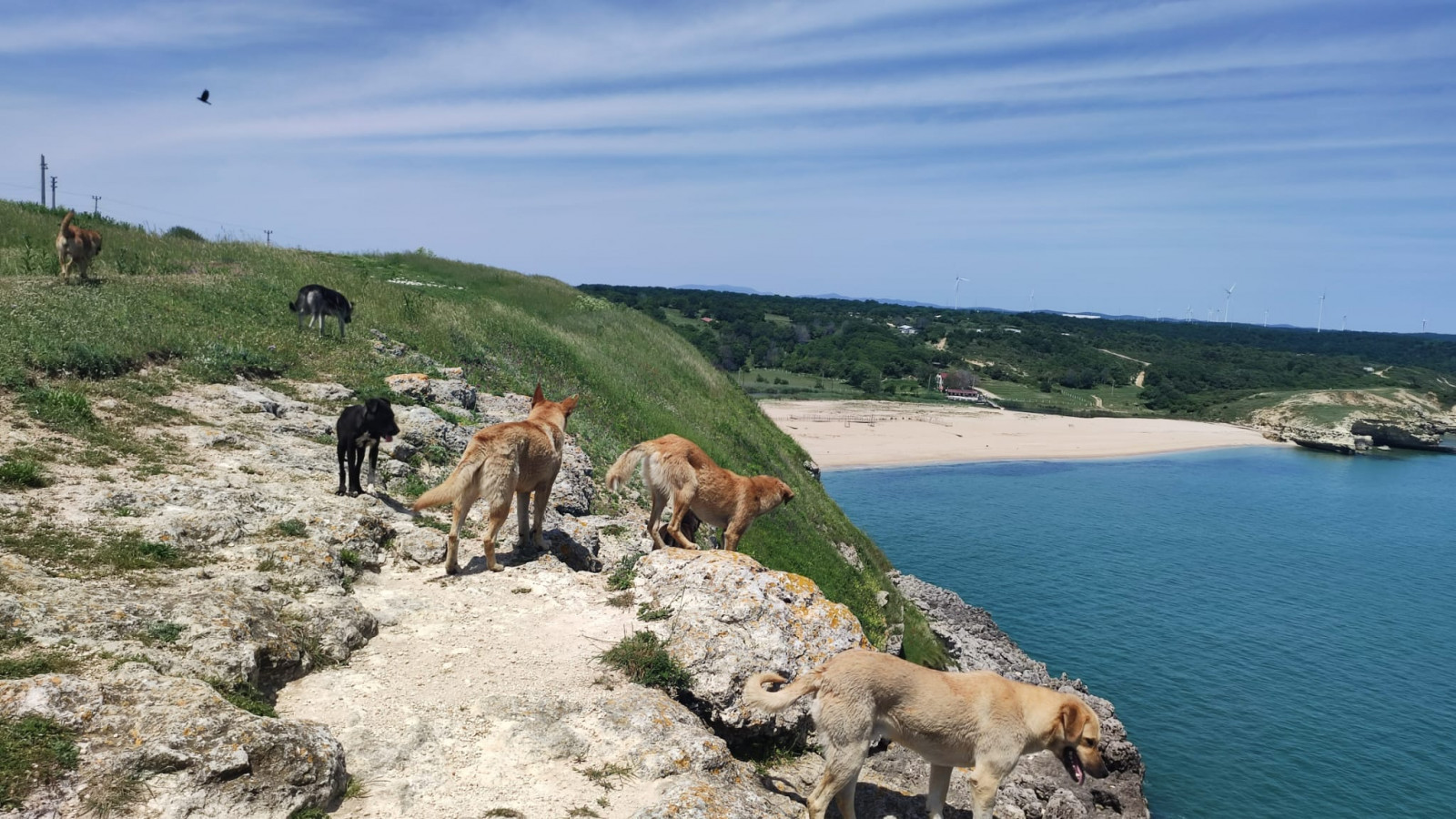 İstanbul'a 2 saat! İşte saklı cennet Kıyıköy hakkında bilmeniz gerekenler, kıyıköy, kıyıköy ...